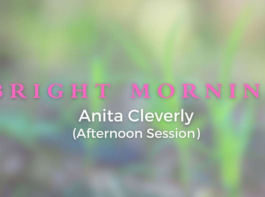 Deep Night - Encounter Vineyard